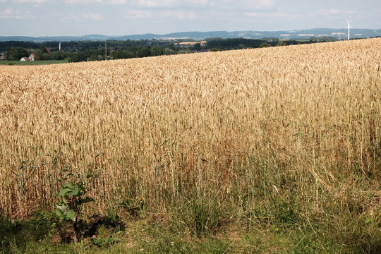 Nartur Bilder – Durchsuchen 64 Archivfotos, Vektorgrafiken und Videos ...