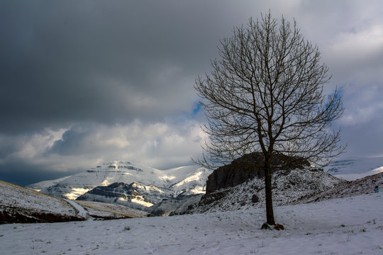 「Spaib」の写真素材 | 4件の無料イラスト画像 | Adobe Stock