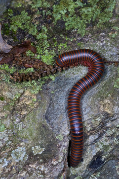 Destruenten Bilder – Durchsuchen 1,487 Archivfotos, Vektorgrafiken und ...