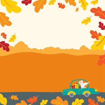 samiola photos, images, assets | Adobe Stock