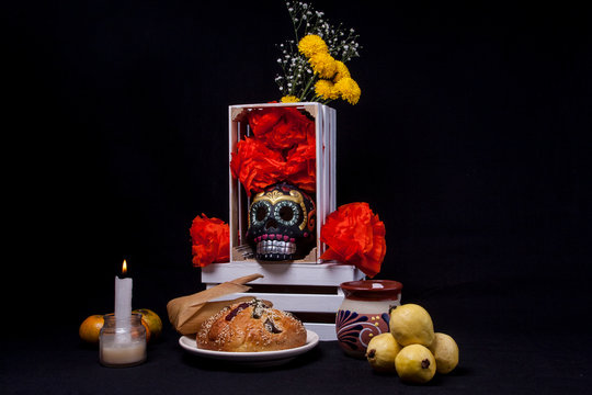 Guacal Images – Browse 48 Stock Photos, Vectors, and Video | Adobe Stock
