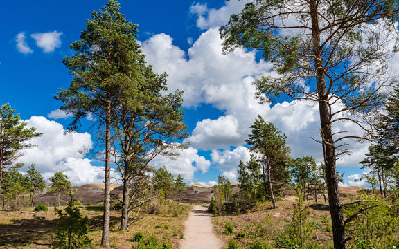 Preila Bilder – Durchsuchen 182 Archivfotos, Vektorgrafiken und Videos ...