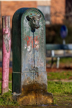 Toret Bilder – Durchsuchen 114 Archivfotos, Vektorgrafiken und Videos ...