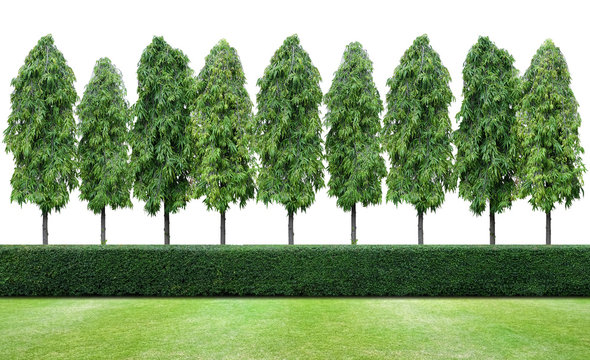 Asopalav Images – Browse 388 Stock Photos, Vectors, and Video | Adobe Stock