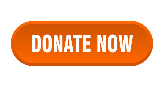 Blue Donate Now Button