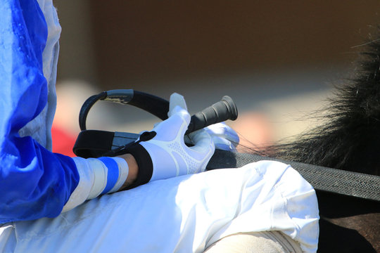 Trifecta Images – Browse 130 Stock Photos, Vectors, and Video | Adobe Stock