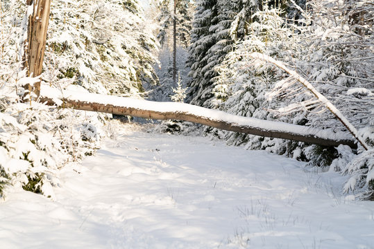 Schlagbaum bilder – Bläddra bland 413 stockfoton, vektorer och videor ...