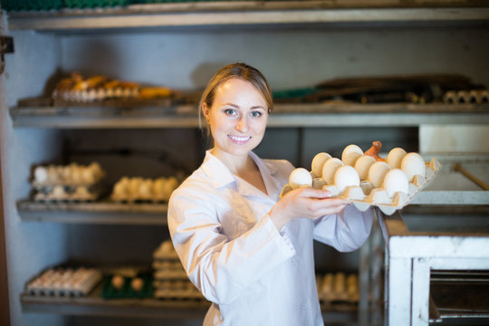 Fowl-Farm Images – Browse 272 Stock Photos, Vectors, and Video | Adobe ...