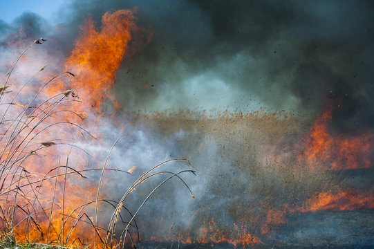 Calamity Images – Browse 705,043 Stock Photos, Vectors, and Video ...