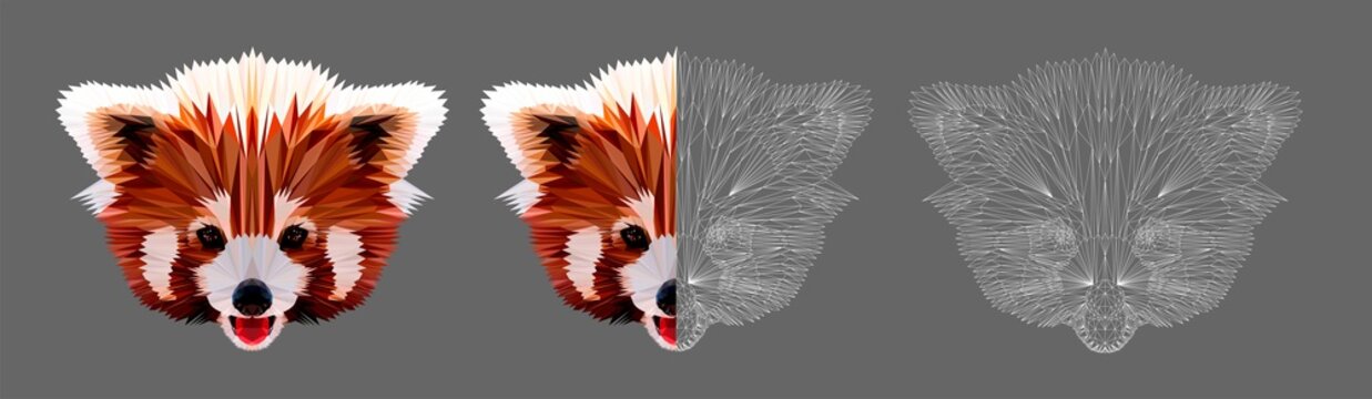 Panda Polygon Imagens – Procure 530 fotos, vetores e vídeos | Adobe Stock