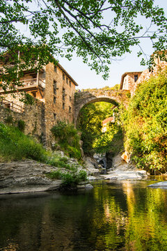 Beget Images – Browse 82,069 Stock Photos, Vectors, and Video | Adobe Stock