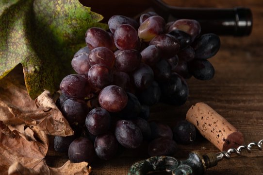 Gouching bilder – Bläddra bland 1,831 stockfoton, vektorer och videor ...