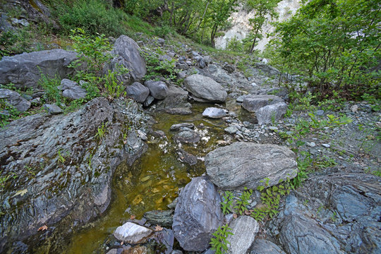 Gumpe Bilder – Durchsuchen 295 Archivfotos, Vektorgrafiken und Videos ...