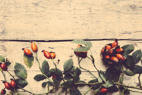 รูปภาพHiffen – เลือกดูภาพถ่ายสต็อก เวกเตอร์ และวิดีโอ326 | Adobe Stock