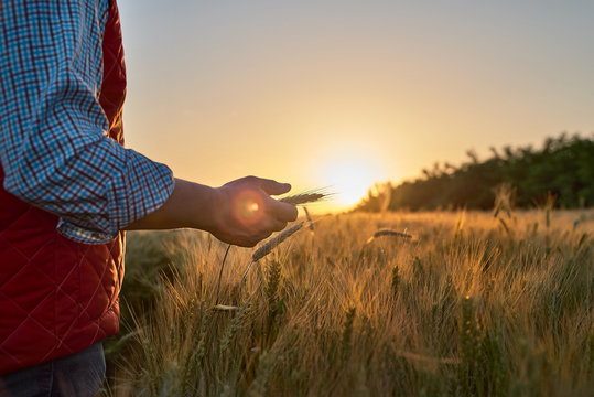 "Rural Economy" Images – Browse 10,691 Stock Photos, Vectors, and Video ...