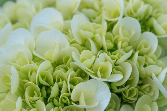 Ivrin photos, images, assets | Adobe Stock