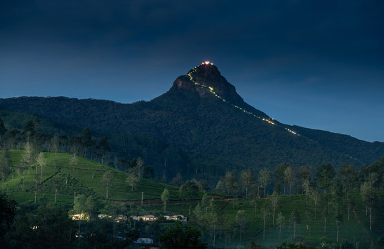 Siripade Images – Browse 52 Stock Photos, Vectors, and Video | Adobe Stock