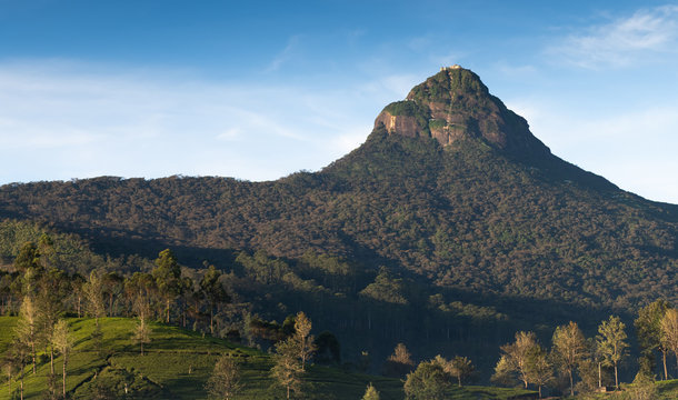 Siripade Images – Browse 52 Stock Photos, Vectors, and Video | Adobe Stock