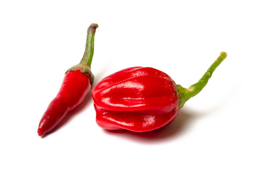 Hot-Pepper Images – Browse 37 Stock Photos, Vectors, and Video | Adobe ...
