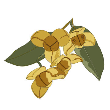 รูปภาพRumdul – เลือกดูภาพถ่ายสต็อก เวกเตอร์ และวิดีโอ388 | Adobe Stock