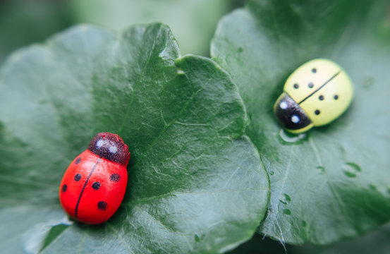 "Cute Little Ladybug" Images – Browse 118 Stock Photos, Vectors, and ...