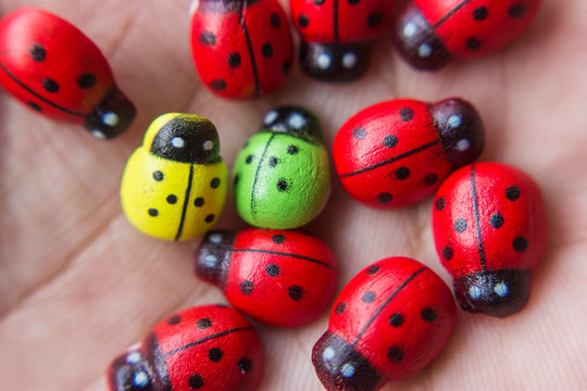 "Cute Little Ladybug" Images – Browse 118 Stock Photos, Vectors, and ...