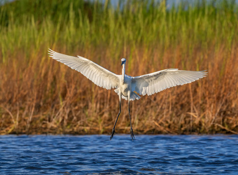 Erget Bilder – Durchsuchen 112 Archivfotos, Vektorgrafiken und Videos ...