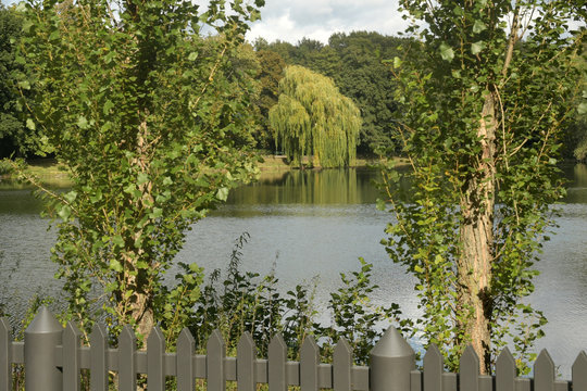 Pulus Bilder – Durchsuchen 160 Archivfotos, Vektorgrafiken und Videos ...