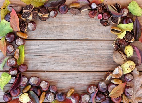 "Autumn Background" bilder – Bläddra bland 67,140 stockfoton, vektorer ...