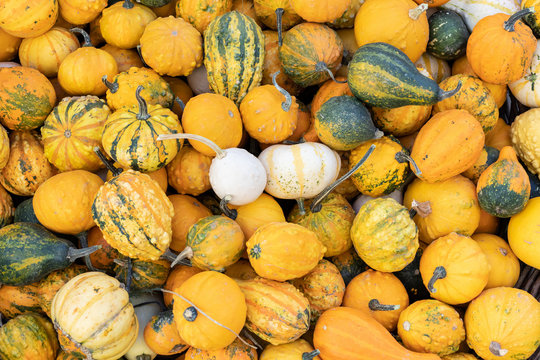 Oblat Bilder – Durchsuchen 881 Archivfotos, Vektorgrafiken und Videos ...