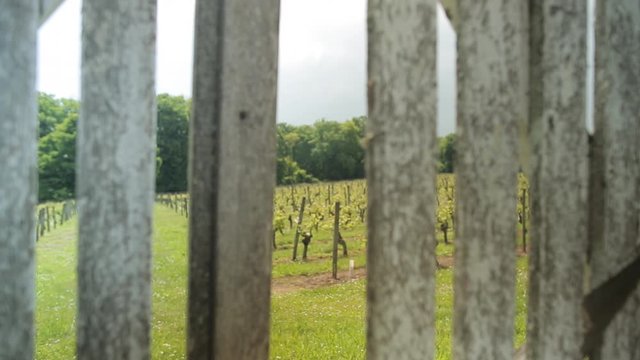 Grotesquely - Images et vidéos libres de droits | Adobe Stock