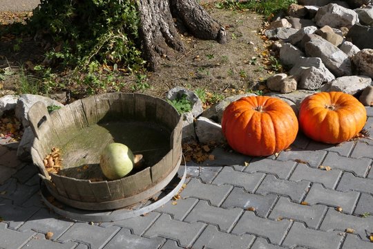 Pumpion Bilder – Durchsuchen 91 Archivfotos, Vektorgrafiken und Videos ...