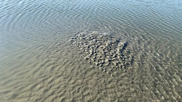 Christian Perello 写真、画像、アセット | Adobe Stock