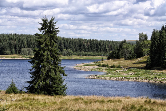 รูปภาพFlaje – เลือกดูภาพถ่ายสต็อก เวกเตอร์ และวิดีโอ74 | Adobe Stock