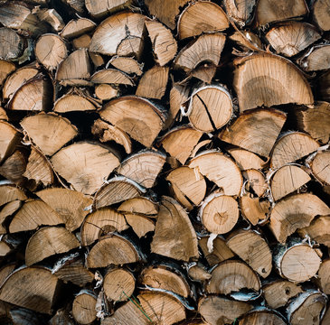 Eschenbaum Bilder – Durchsuchen 74,351 Archivfotos, Vektorgrafiken und ...