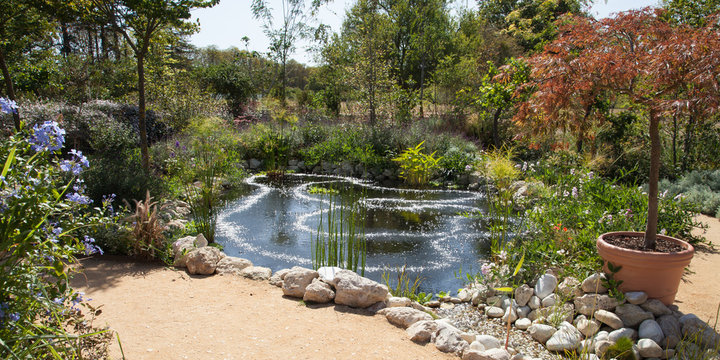 รูปภาพBassin – เลือกดูภาพถ่ายสต็อก เวกเตอร์ และวิดีโอ28,871 | Adobe Stock