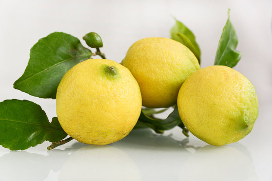 「Cytryny」の画像 - 744 件の Stock 写真、ベクターおよびビデオ | Adobe Stock