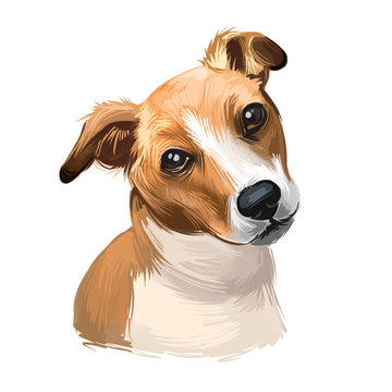 Plummer Images – Browse 31 Stock Photos, Vectors, and Video | Adobe Stock