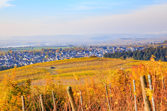 Kiedrich Bilder – Durchsuchen 238 Archivfotos, Vektorgrafiken und ...