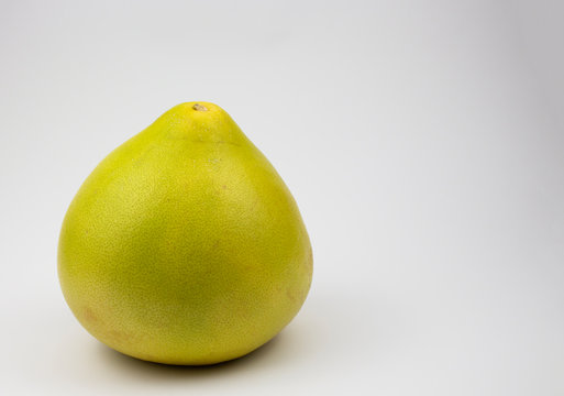 รูปภาพPomela – เลือกดูภาพถ่ายสต็อก เวกเตอร์ และวิดีโอ568 | Adobe Stock