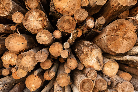 รูปภาพWoodyard – เลือกดูภาพถ่ายสต็อก เวกเตอร์ และวิดีโอ180 | Adobe Stock