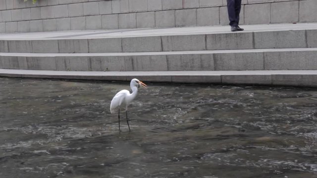 「Igrit」の写真素材 | 6件の無料イラスト画像 | Adobe Stock