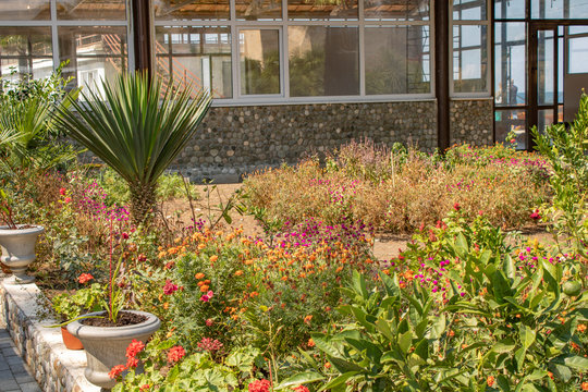 รูปภาพQueenslander – เลือกดูภาพถ่ายสต็อก เวกเตอร์ และวิดีโอ227 | Adobe ...