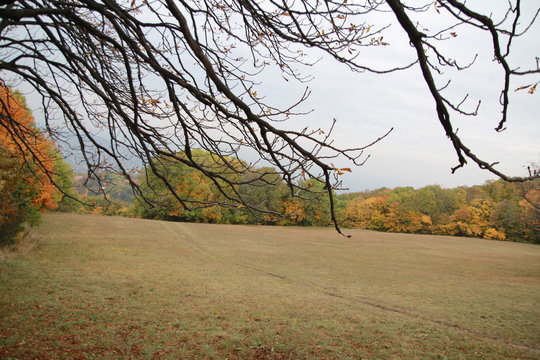 Unphotoshopped Pictures Of Nature