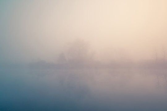 Free Fog Images – Browse 4,688 Free Stock Photos, Vectors, and Video ...