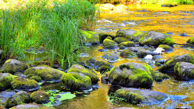 "Shallow River" Images – Browse 202 Stock Photos, Vectors, and Video ...