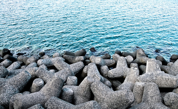 「Tetrapods」の写真素材 | 14,707件の無料イラスト画像 | Adobe Stock