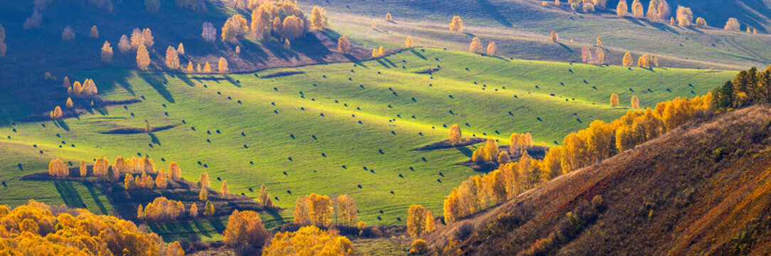 "Hilly Terrain" Images – Browse 1,671 Stock Photos, Vectors, and Video ...