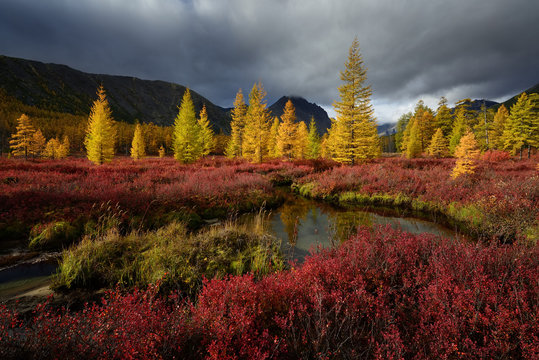 Magadan Bilder – Durchsuchen 3,301 Archivfotos, Vektorgrafiken und ...