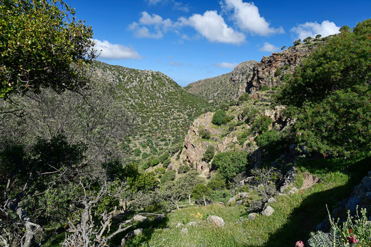 Imágenes de Calderen: descubre bancos de fotos, ilustraciones, vectores ...